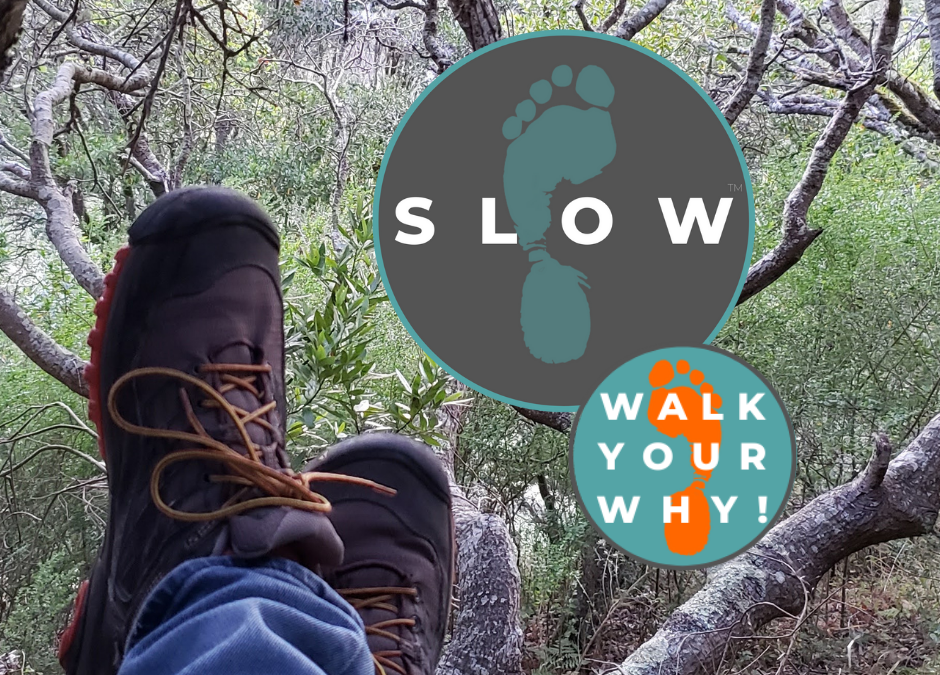 A Taste of SLOW - Walk Your Why